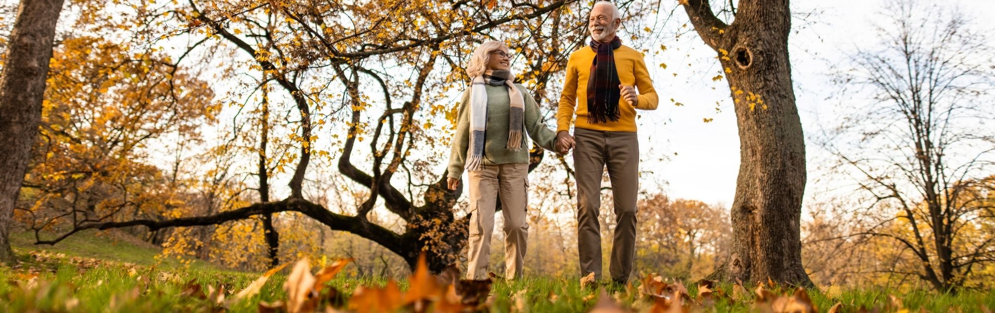 Daily Habits That Support Vein Health All Year Round | Skin Institute